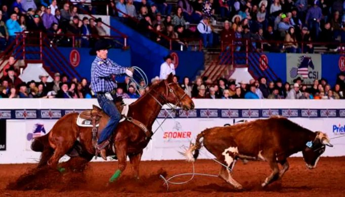 Taylor Santos é o grande campeão do Timed Event 2020 - Team Roping Brasil